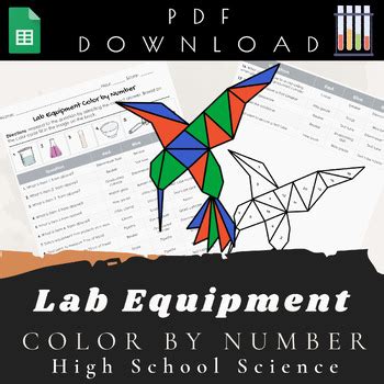 Lab Equipment Color By Number By Target Science TPT
