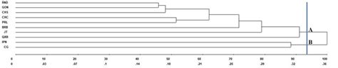 Dendrogram Obtained By The Upgma Hierarchical Clustering Method Based