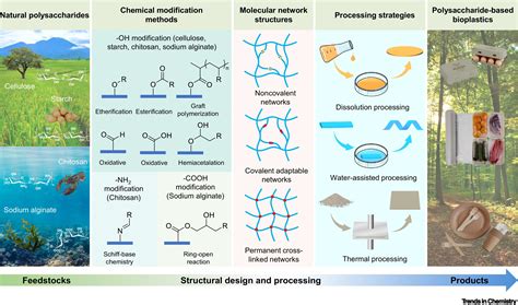 Chemical Structure Of Polysaccharides