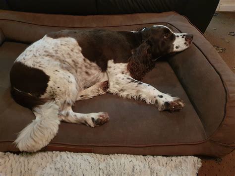 Daily Hugo Post 93 Rforsen Daily Hugo Post 93 Rforsen