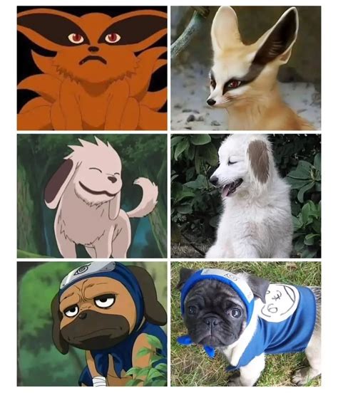 ฉันคือนารูโตะ อนิเมะ Vs ชีวิตจริง Facebook