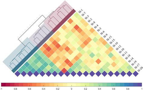 Matlab 超多样式聚类分析树状图任你选择~~matlab聚类效果图 Csdn博客