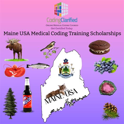 Medical Coding Scholarships Now Available In Maine Apply Today