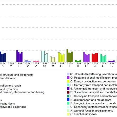 Cog Function Classification Of Genes In The Genomes Of H Oryzae And Download Scientific
