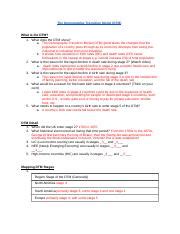 The Demographic Transition Model DTM Docx The Demographic Transition Model DTM What Is The