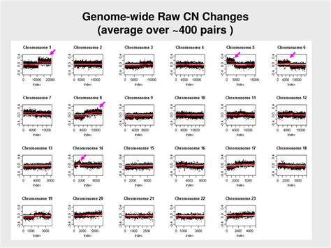 Ppt Genome Wide Copy Number Analysis Powerpoint Presentation Free Download Id674582