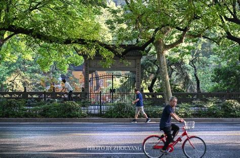 净慈寺，杭州西湖畔的千年古刹，它的前世荣誉并不逊于灵隐寺时期钟声钱弘俶