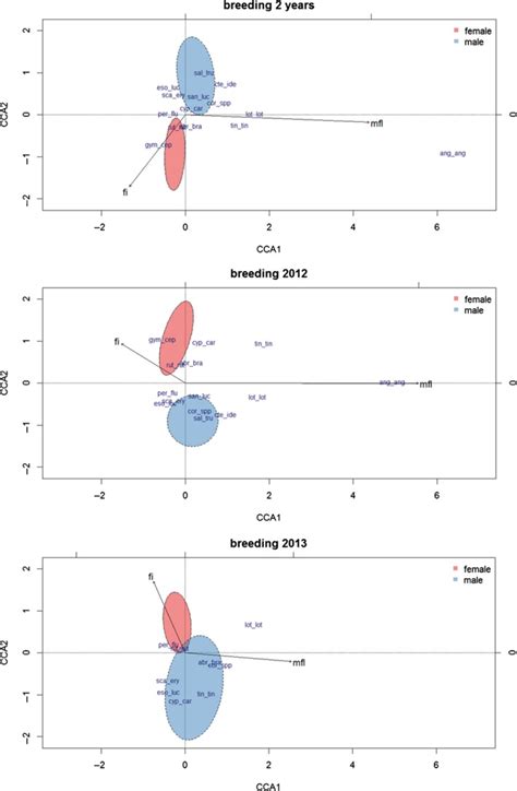 Sex‐specific Prey Partitioning In Breeding Piscivorous Birds Examined