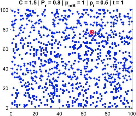 Model Of Cellular Automata Of Two Types R And B Represented By Colors Download Scientific