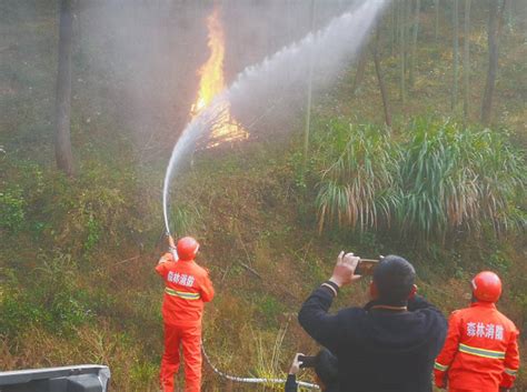 桃江开展森林以水灭火装备培训中国网