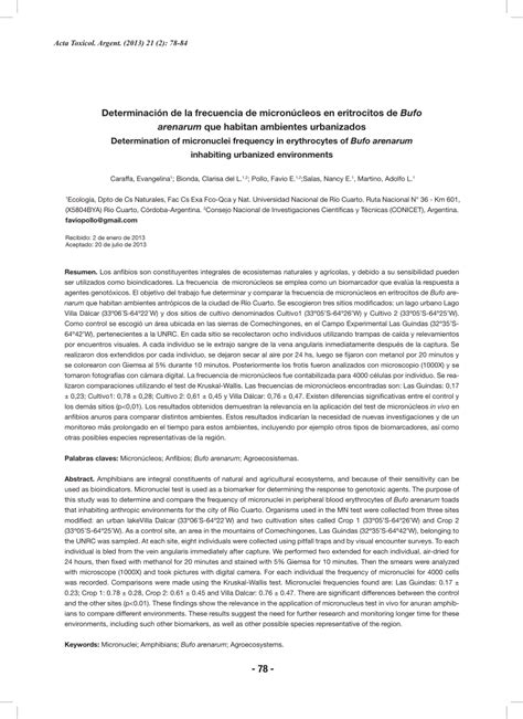 Pdf Determinación De La Frecuencia De Micronúcleos En Eritrocitos De Bufo Arenarum Que Habitan