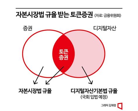 토큰증권이 온다 ②가보지 않은 길투자자 보호가 핵심 아시아경제