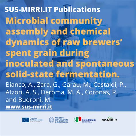 Microbial Community Assembly And Chemical Dynamics Of Raw Brewers