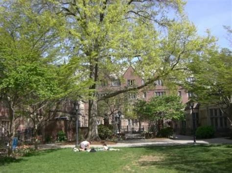 Jonathan Edwards Courtyard At Yale Vanderbilt Hall Yale Yale