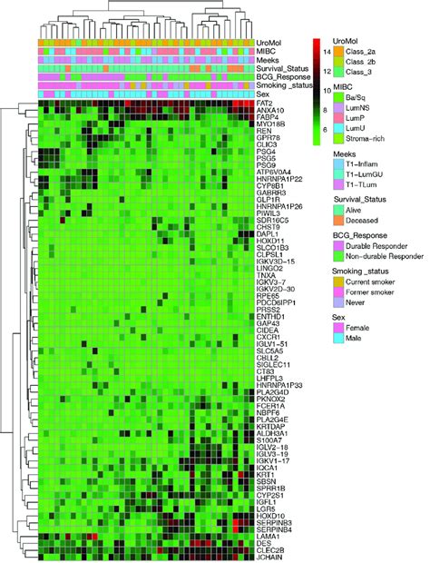 Gene Expression Heatmap Of 67 Statistically Significant Differentially