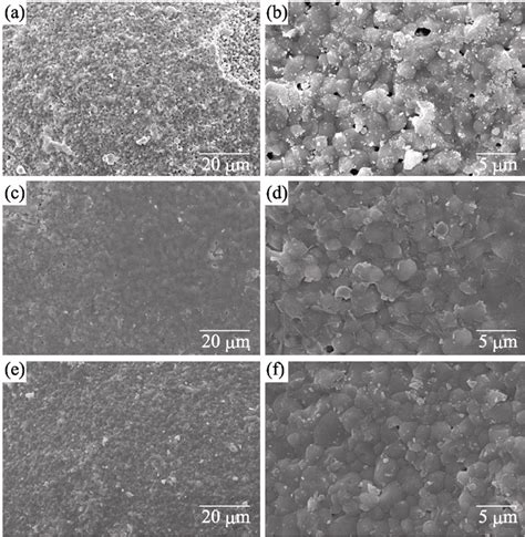 致密羟基磷灰石球粒的制备及其生物学性能研究