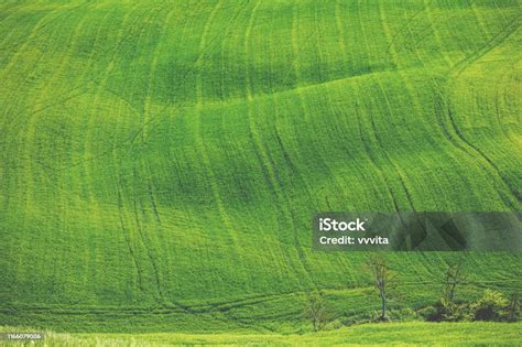 아름다운 풍경 봄 자연 잔디 질감입니다 자연 풍경입니다 이탈리아 토스카나의 구릉지대에서 화창한 들판 위에서 바라본다 0명에 대한 스톡 사진 및 기타 이미지 Istock