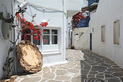 유명한 관광 명소인 파로스 섬에 있는 나우사 마을의 부겐빌레아 꽃이 피는 전통적인 흰색 주택이 있는 그림 같은 좁은 거리 벡터 배경 및 무료 다운로드를위한 그림 Pngtree