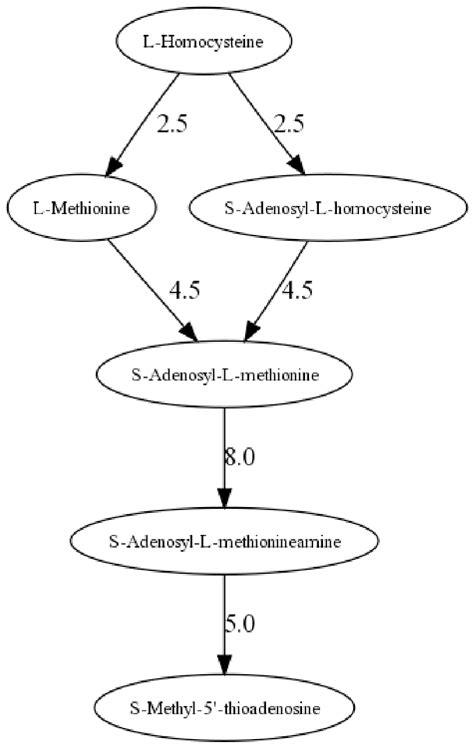 2 A Directed Metabolic Graph With Betweenness Centrality Values Giving