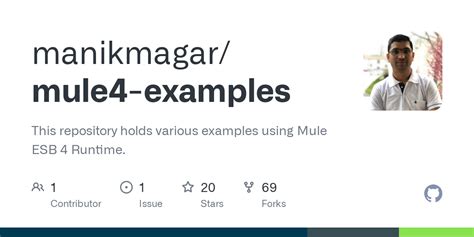 Github Manikmagar Mule Examples This Repository Holds Various Examples Using Mule Esb Runtime