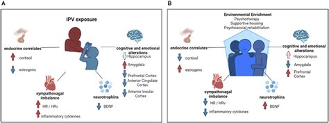 Flow Chart Of Intimate Partner Violences Psycho Physio Pathological Download Scientific