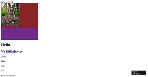 Html Codesandbox