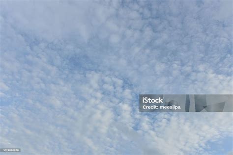 푸른 하늘 흰 구름 흰색 배경입니다 아름 다운 하늘 그리고 오후에 구름입니다 0명에 대한 스톡 사진 및 기타 이미지 0명