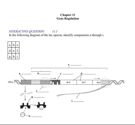 Solved Interactive Question 11 1 In The Following Diagram Of