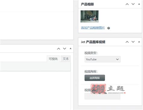 Jetproductgallery汉化中文版 Elementor及woocommerce产品图片视频库插件介绍 搬主题