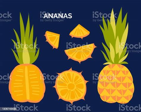 전체 와 반 파인애플 세트 슬라이스 어두운 배경에 고립 된 벡터 이국적인 과일의 낙서 그림 파인애플에 대한 스톡 벡터 아트 및