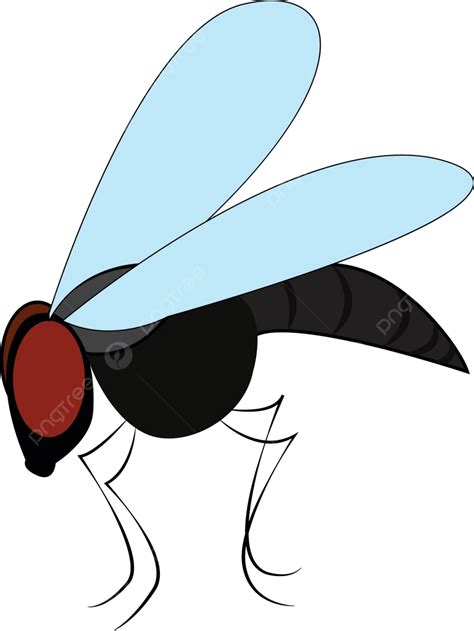 Big Black Fly Vector Or Color Illustration Closeup Big Hygienic Vector