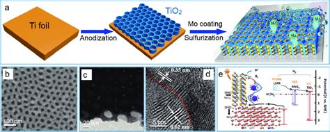 The Hierarchical Growth Of Mos 2 Nanosheets On The Inner Surface Of Tio Download Scientific