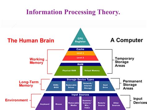 A Wellillustrated Overview On The Information Processing Theory