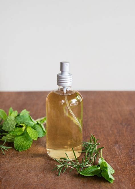 8 Powerful Natural Insecticides To Effectively Combat Your Stubborn