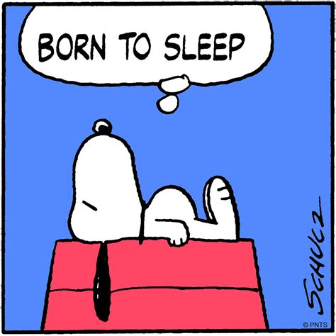 Snoopy Sleeping Cartoon