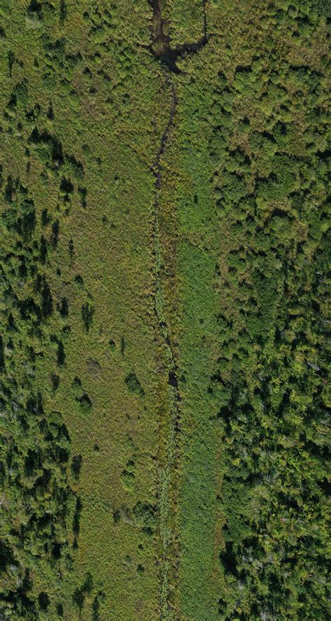 Uav Ontario Drone Vegetation Mapping Uav Ontario