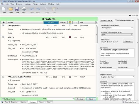 How To Cut Sequence Out Snapgene Viewer Manvvti