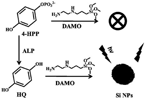 Fluorescence Detection Method For Activity Of Alkaline Phosphatase Eureka Patsnap
