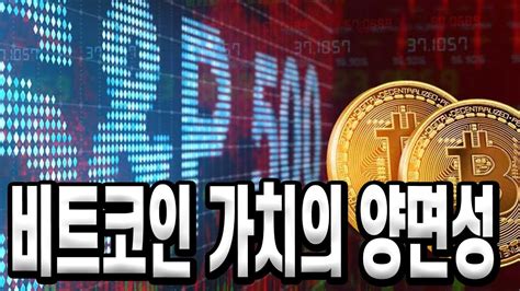 비트코인 가치의 양면성 Youtube
