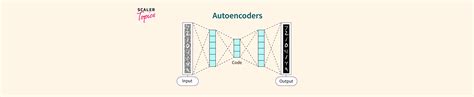 Autoencoders Scaler Topics