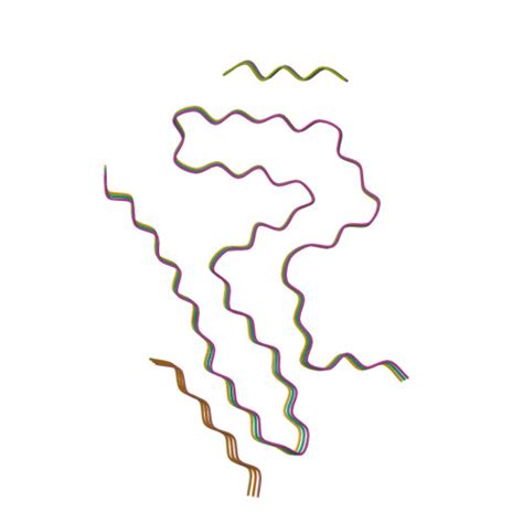 Rcsb Pdb 8a9l Cryo Em Structure Of Alpha Synuclein Filaments From Parkinsons Disease And