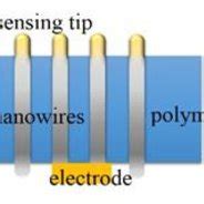 Schematic Image And Optical Image Of Flexible GSR Sensor Download Scientific Diagram