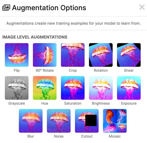 How To Train Yolov5 Classification On A Custom Dataset