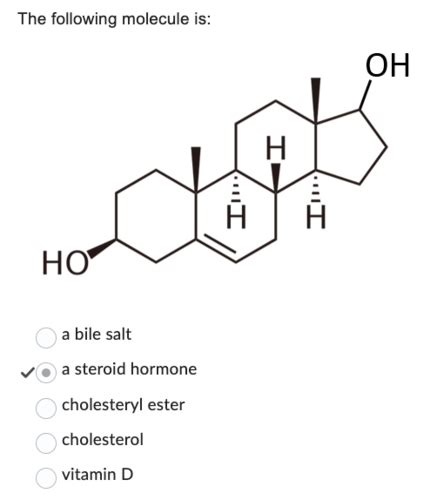 Exam 4 Flashcards Quizlet Exam 4 Flashcards Quizlet