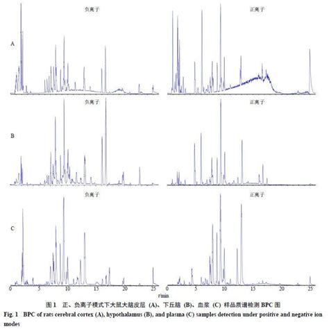 基于灰色关联分析方法研究炒酸枣仁镇静催眠作用谱效关系 药效