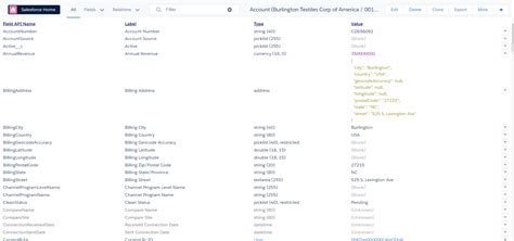 How To Use Salesforce Inspector Step By Step Guide