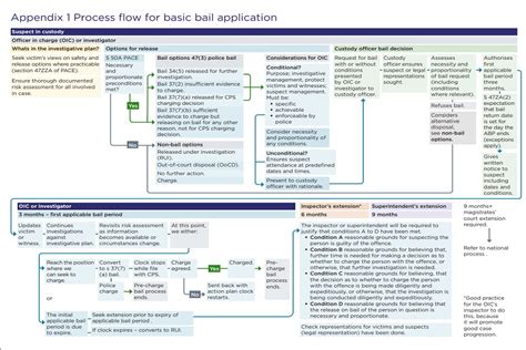 Pre Charge Bail Statutory Guidance Accessible Gov Uk