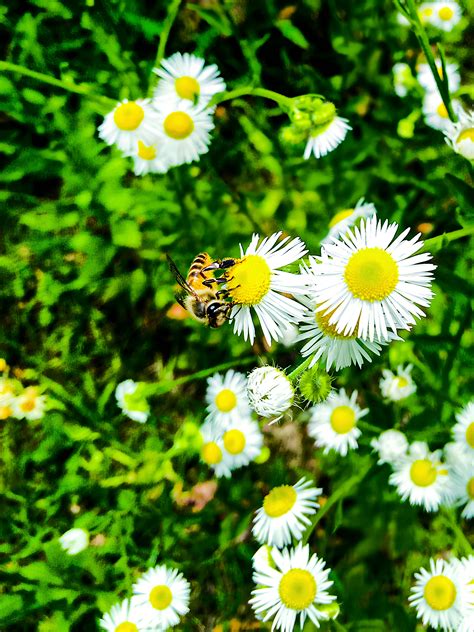 Krishna Rawat Photography