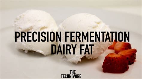 Yali Bio Reveals Precision Fermentation Dairy Fat Youtube