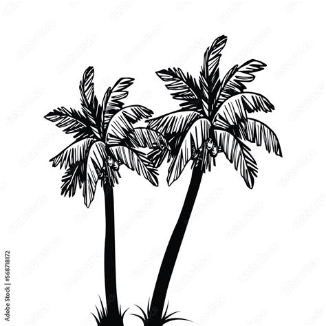 Vintage Plam Tree Vector Illustration Stock Vector Adobe Stock